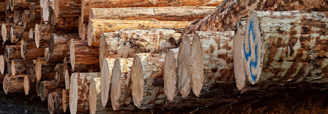 OLWO - WO HOLZ ZUM MEHRWERT WIRD - OLWO